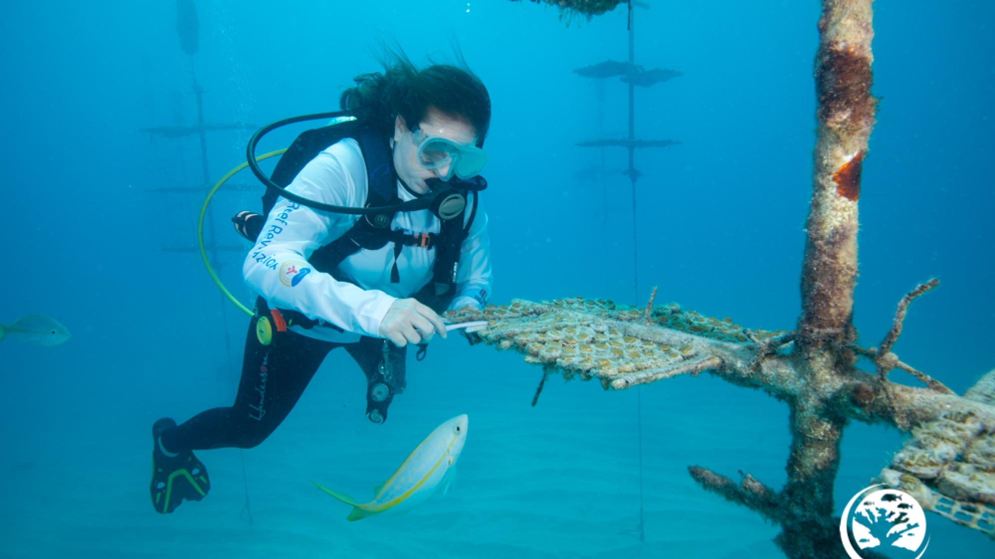 Confronting the Coral Crisis with United Way of Collier and the Keys ...