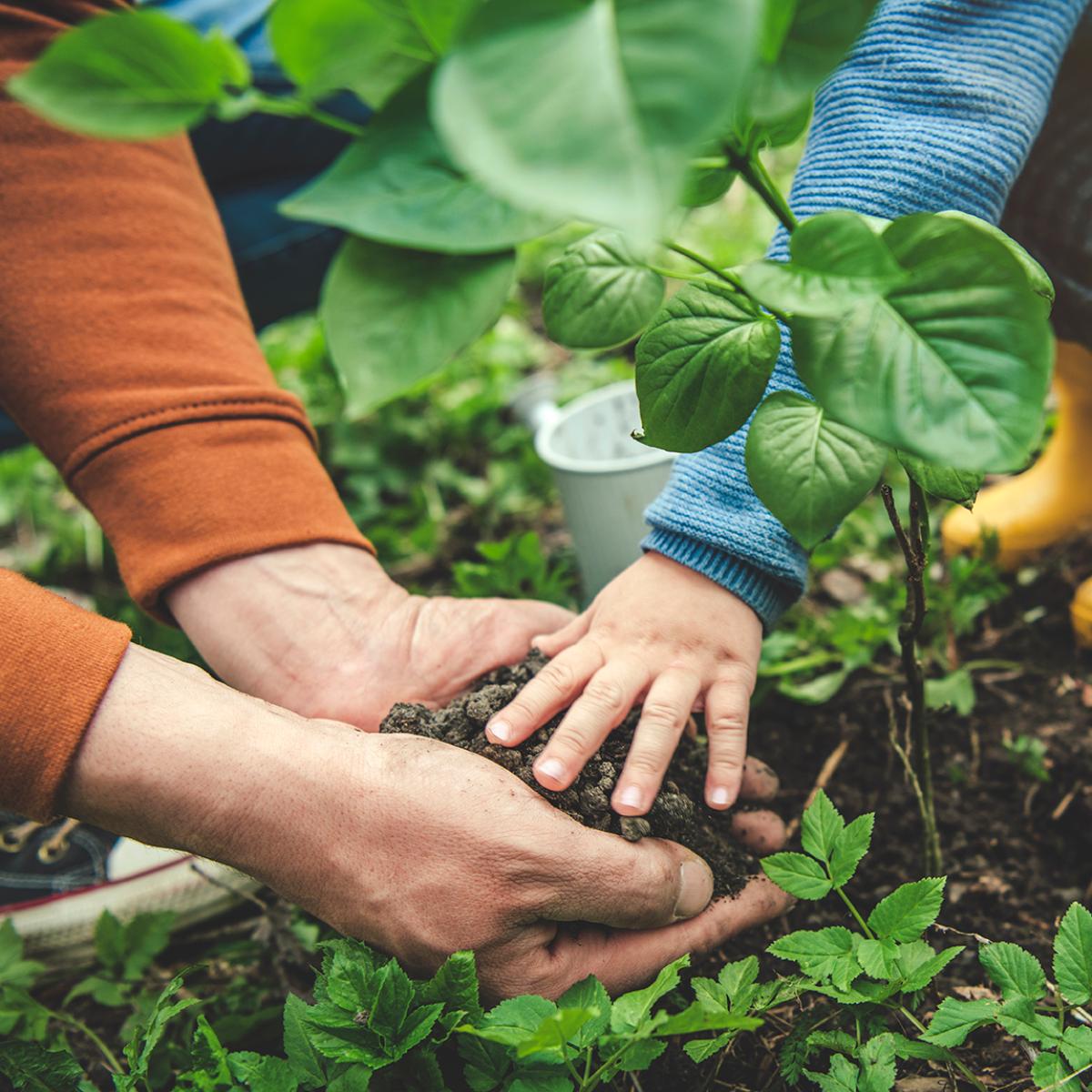 Our Impact | United Way Worldwide